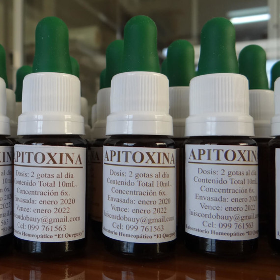 Apitoxina – El Queguay